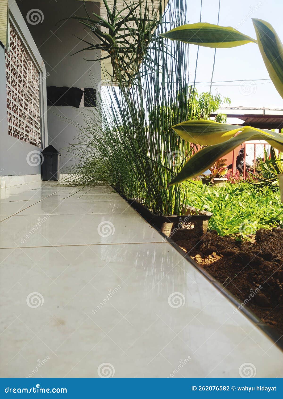 Courtyard terrace room stock photo. Image of home, property - 262076582