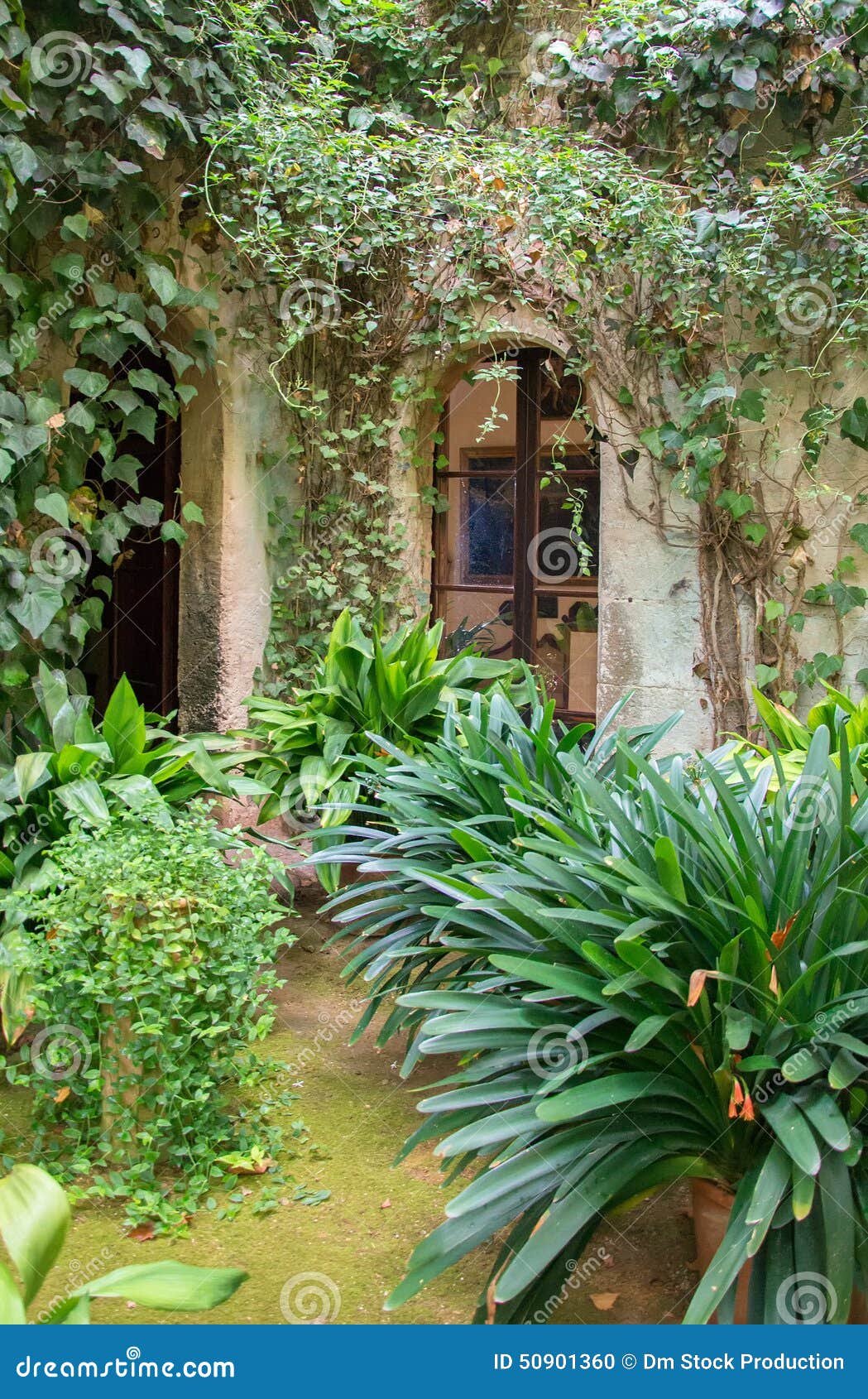 Courtyard with trees. stock photo. Image of mansion, fence - 50901360
