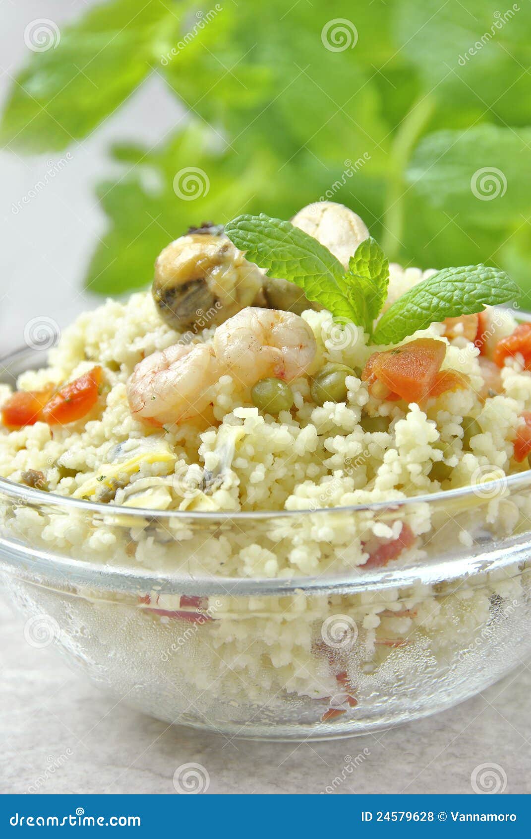 Couscous stock photo. Image of dish, risotto, recipe - 24579628