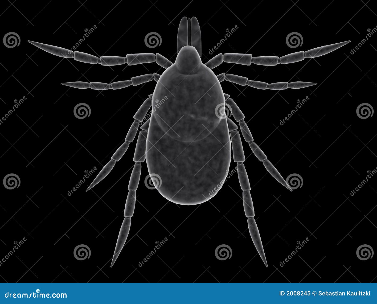 Coutil illustration stock. Illustration du hôte, coutil - 2008245