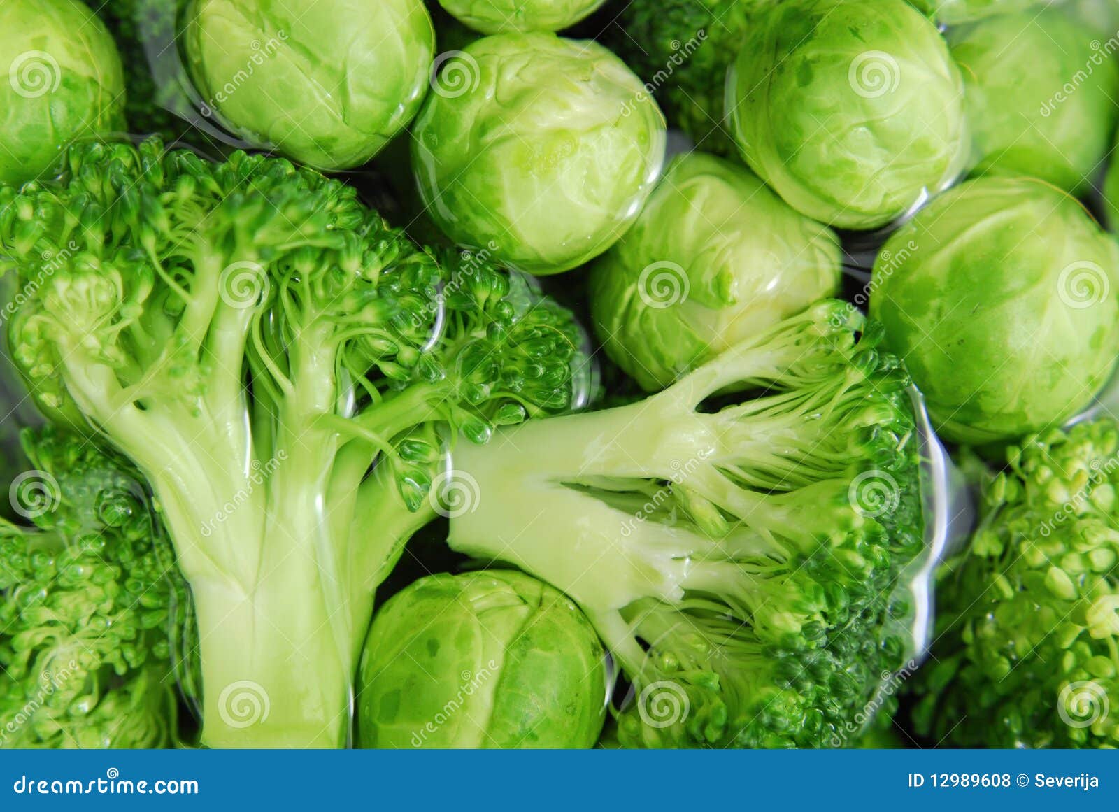 Couves E Bróculos De Bruxelas Foto de Stock - Imagem de outono ...