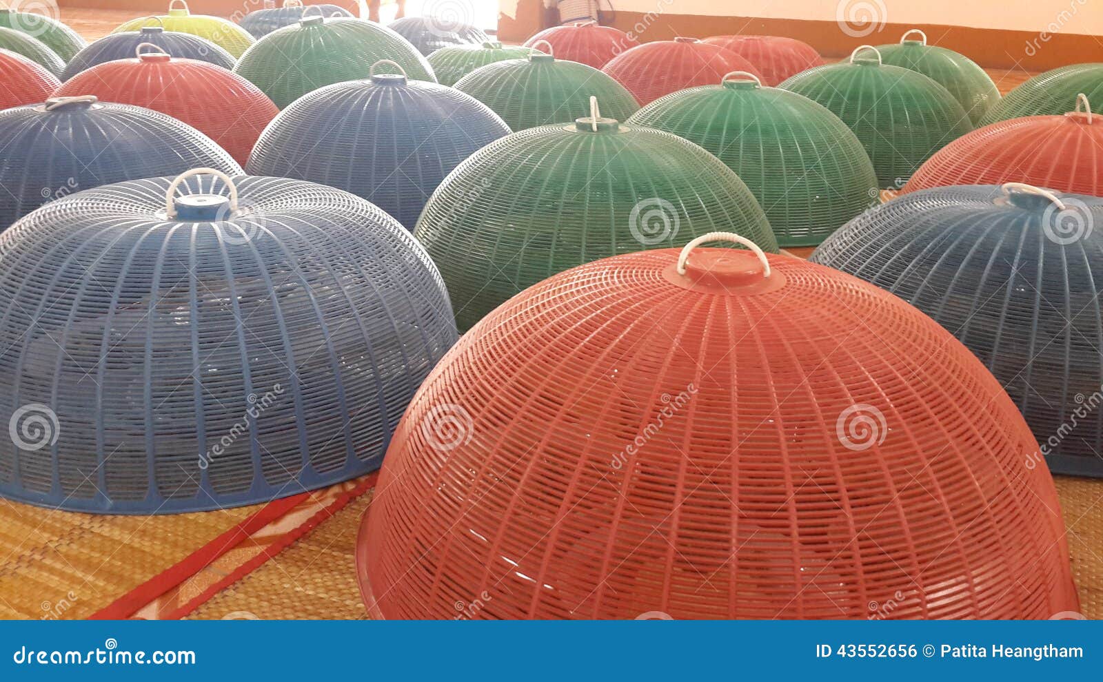 Cover food protect stock photo. Image of cover, beetle - 43552656