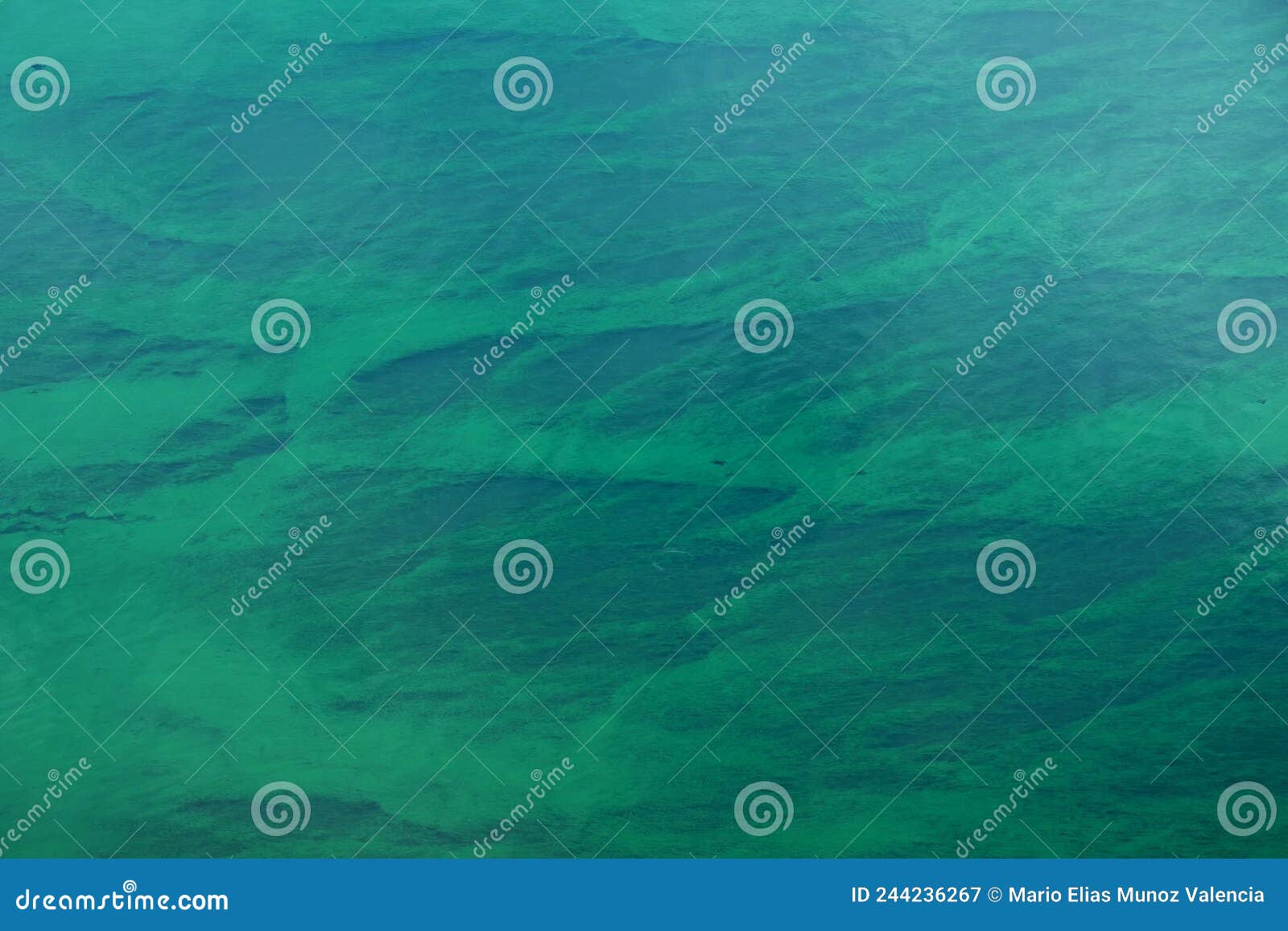 Cover of Green Algae Covering the Surface of a Riverbed. Background and ...