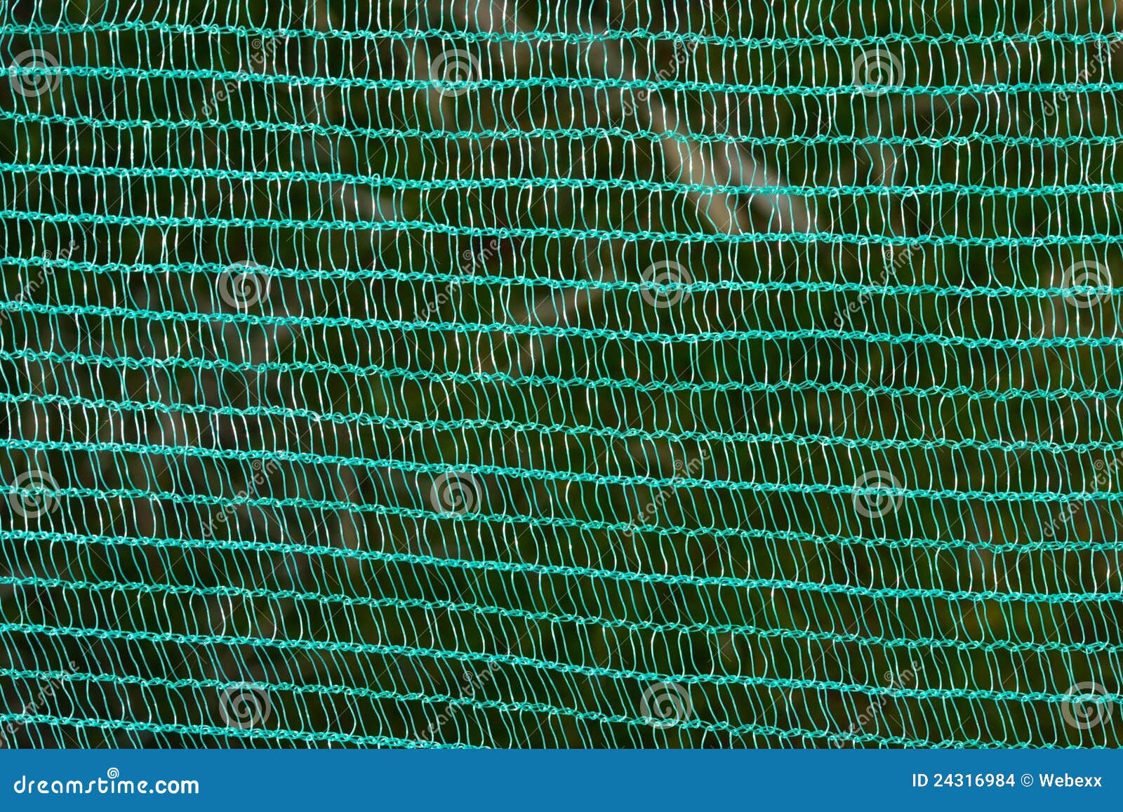 Cover net stock photo. Image of protection, structure - 24316984