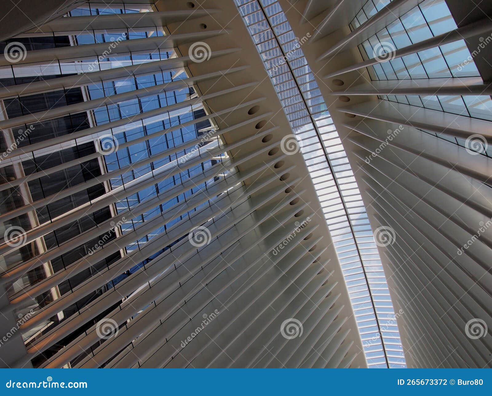 Ceiling of the Oculus editorial photography. Image of backlight - 265673372