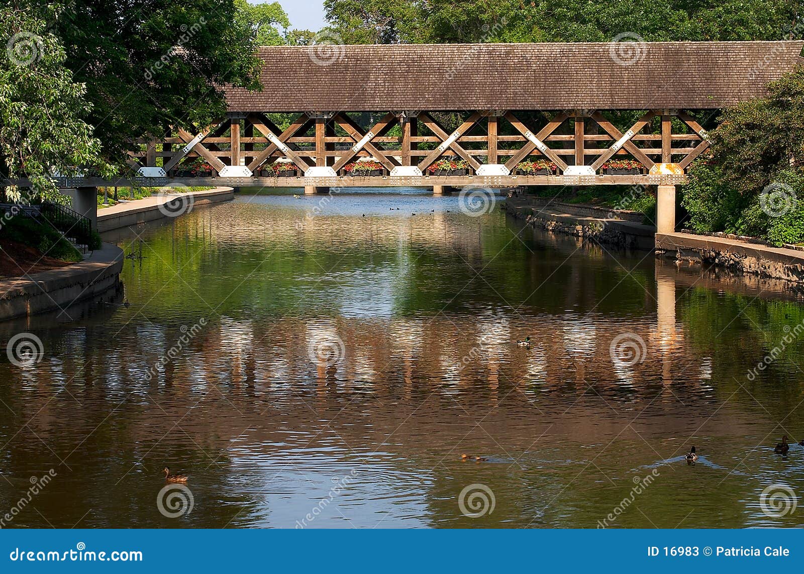 Covered Bridge stock image. Image of vertical, bridges, river - 16983
