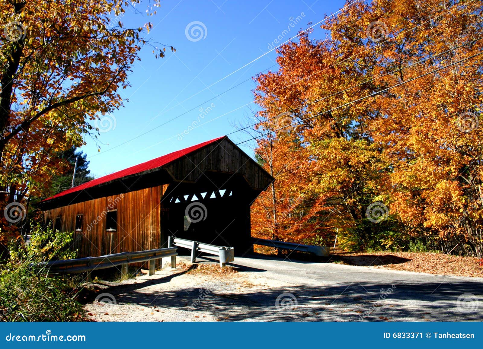 Royalty Free Images, Cartoons, Illustrations And Photos Designed By ...