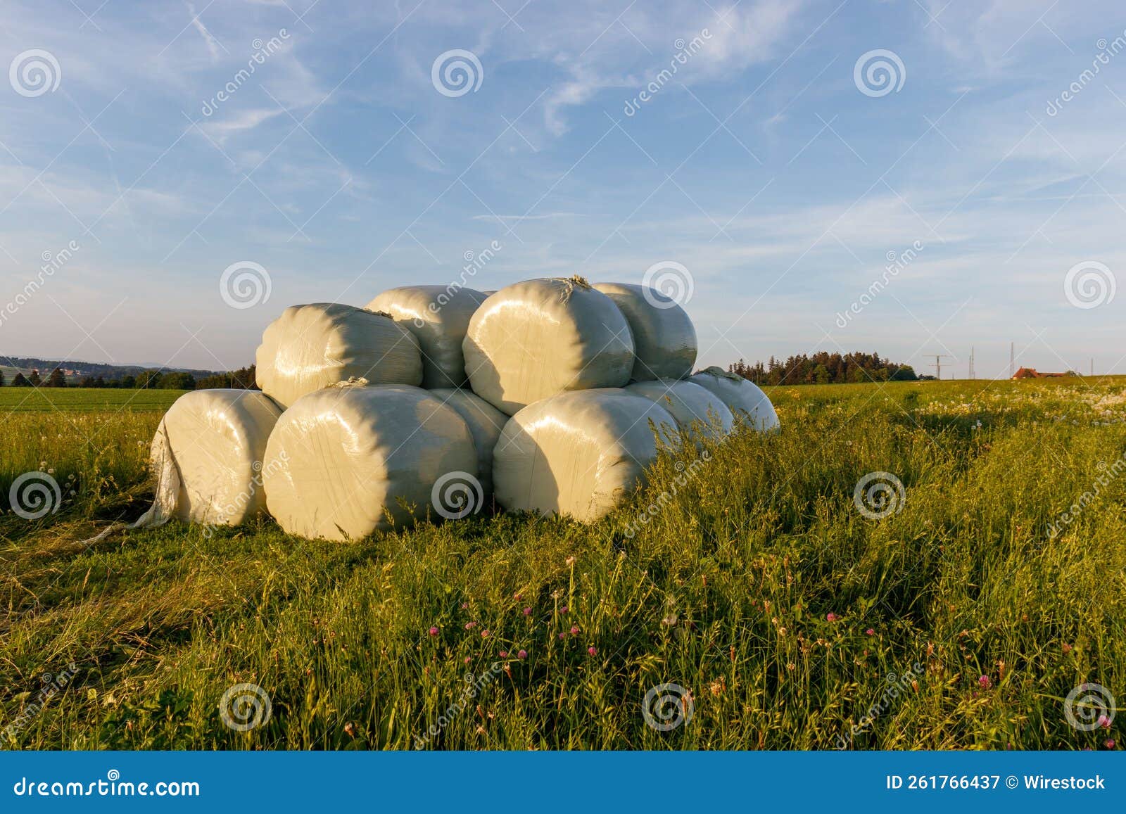 Covered Hay Bales in the Farmland Stock Image - Image of rural, harvest ...