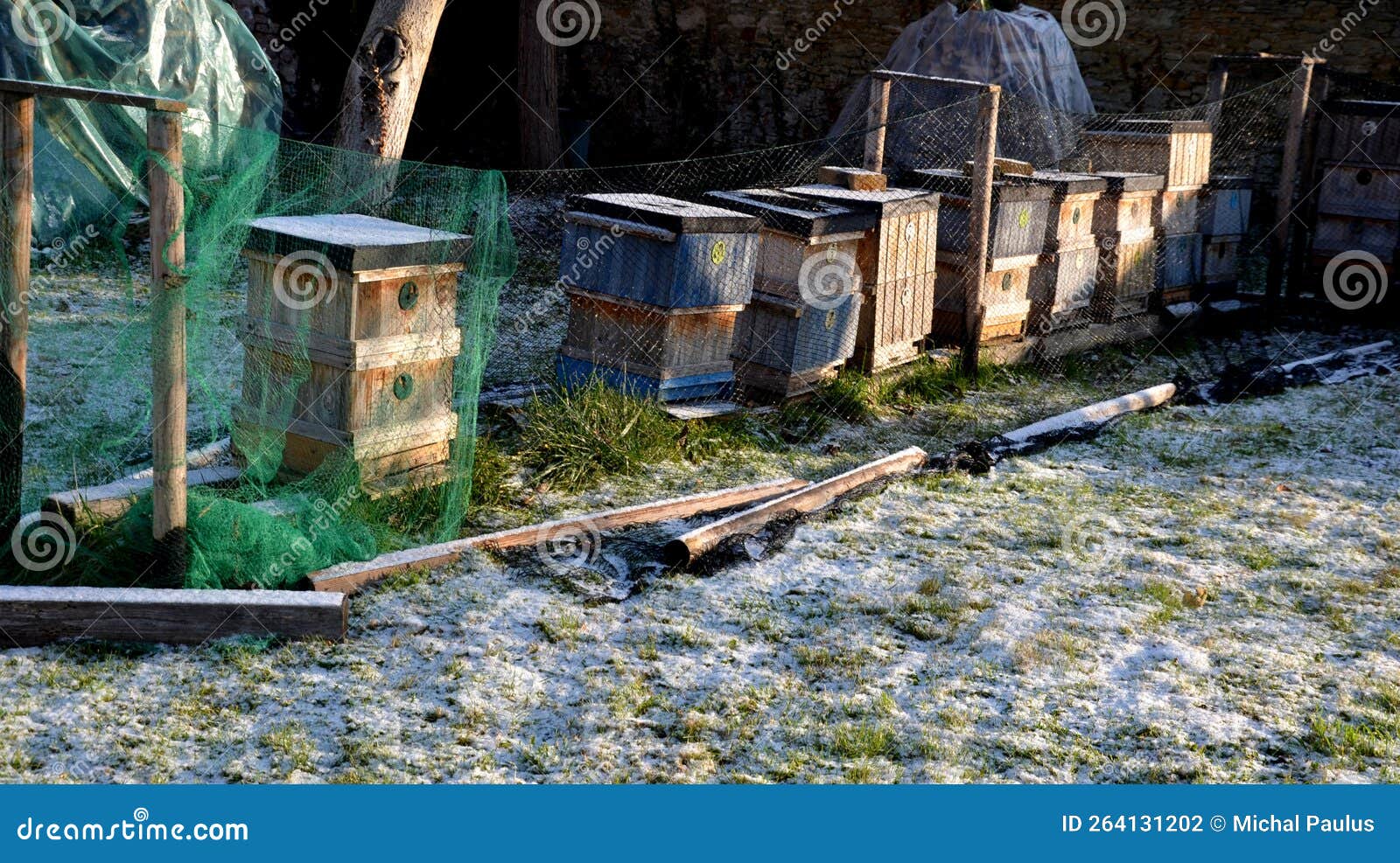 Covered Hives on an Apiary Using a Plastic Net. Protection from Birds ...