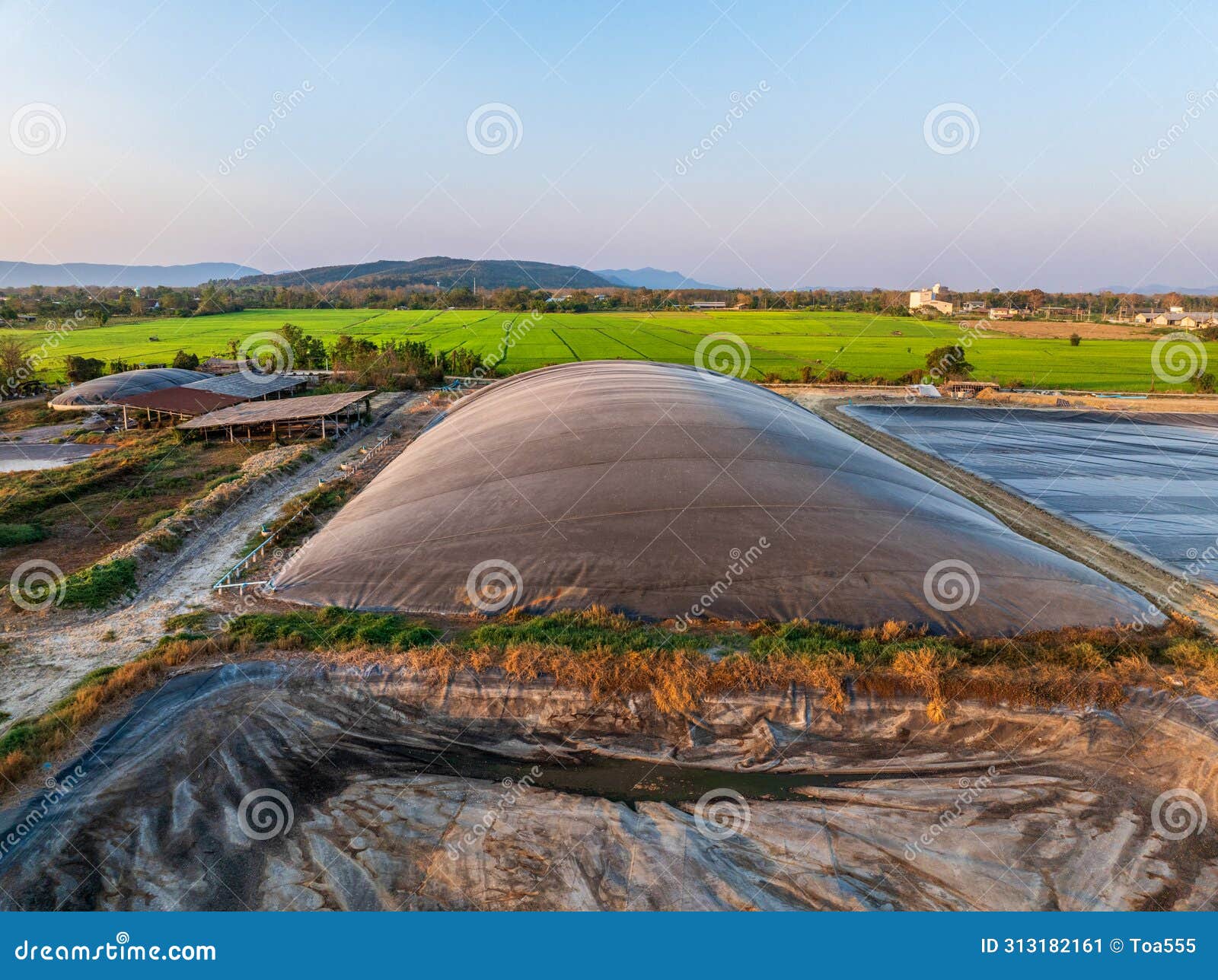 Covered Lagoon Digester for Biogas Production from Poultry Farm Stock ...