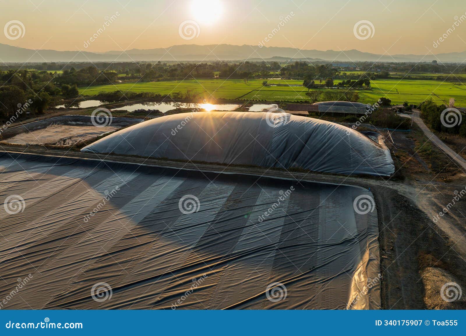Covered Lagoon Digester for Biogas Production from Poultry Farm Stock ...