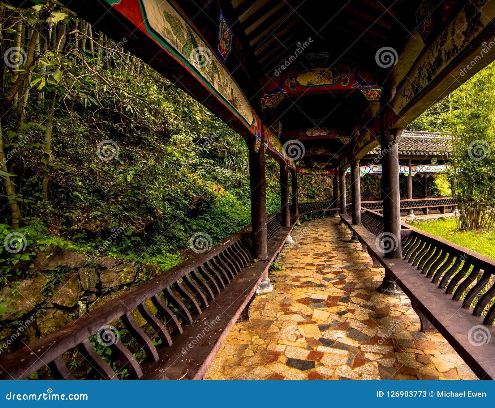 Covered Pathway of Shisun China Stock Image - Image of edge, forest ...