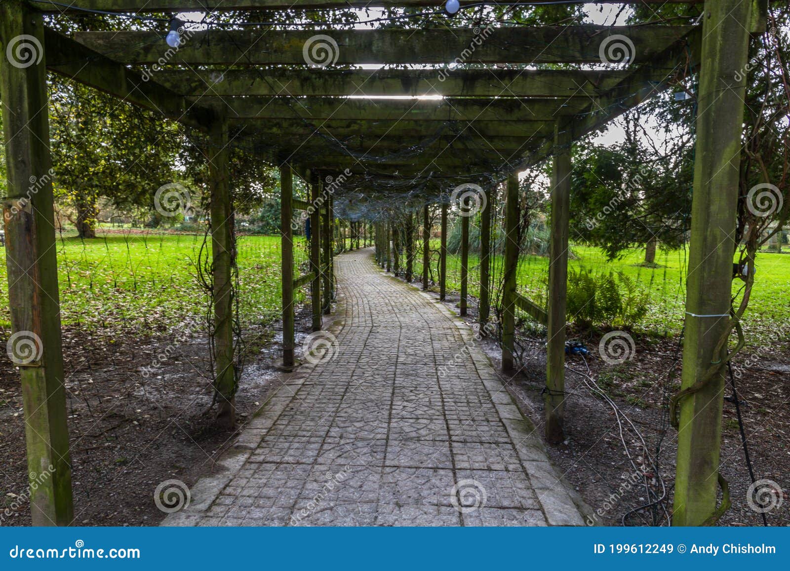 Covered pathway in Winter stock image. Image of pave - 199612249