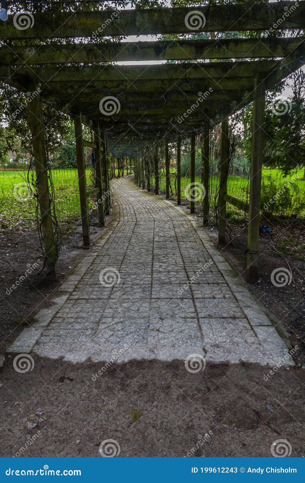 Covered pathway in Winter stock image. Image of foliage - 199612243