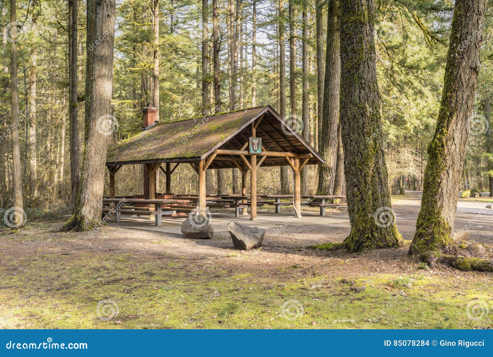 Covered Picnic Area and Forest Washington State. Stock Photo - Image of ...