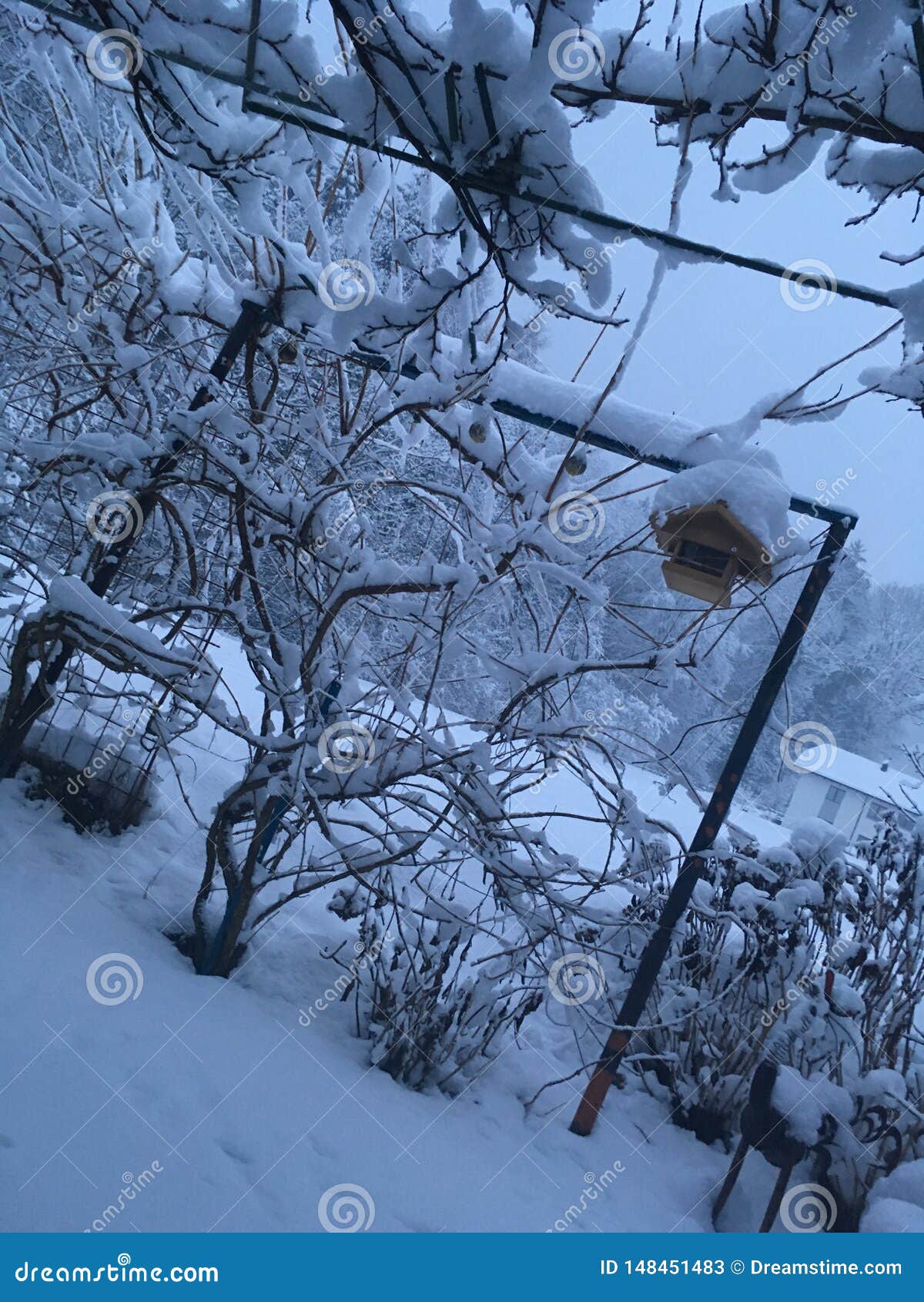 Snowy backyard stock image. Image of snowy, covered - 148451483
