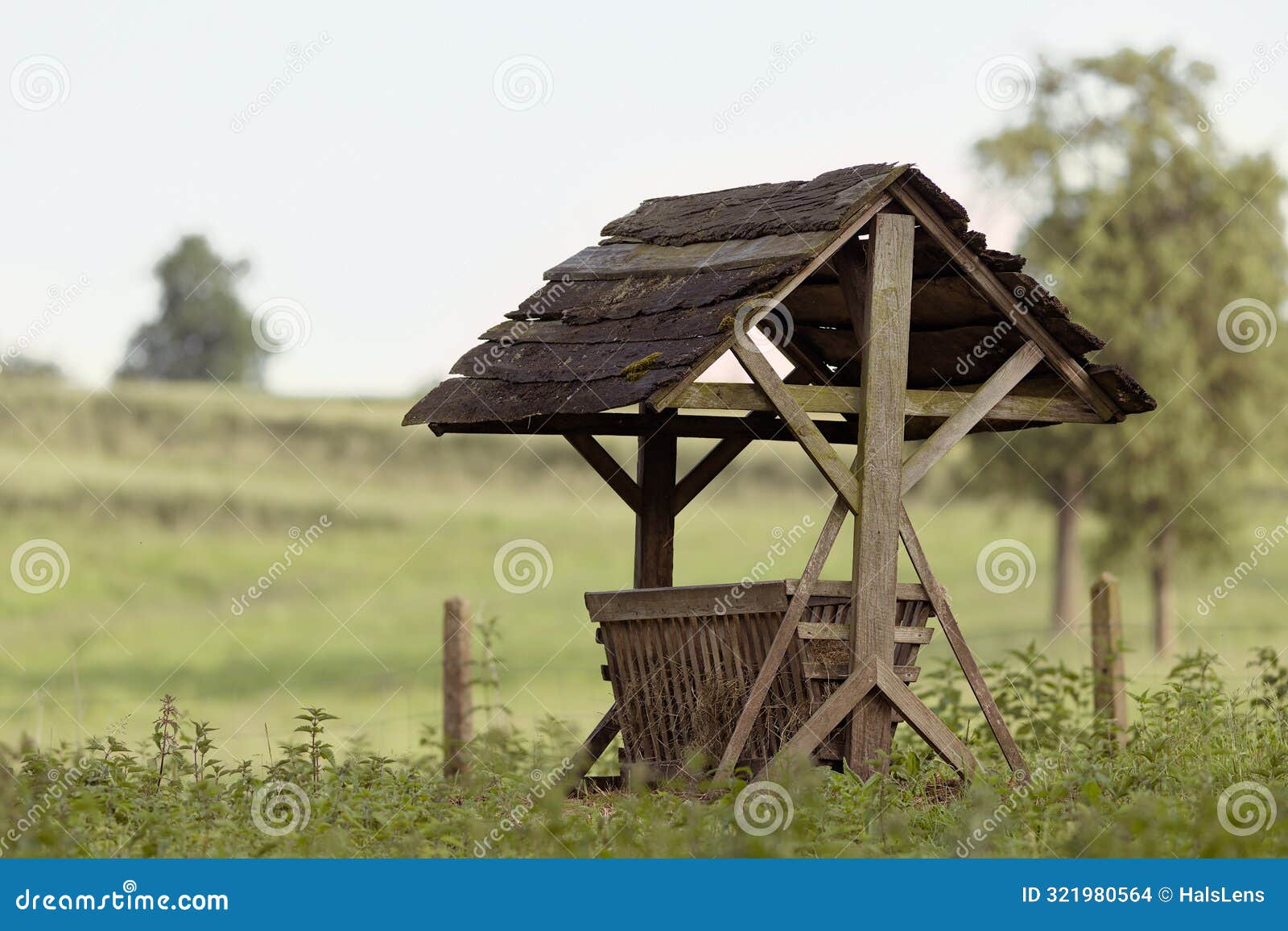 A covered trough stock photo. Image of pasture, farming - 321980564