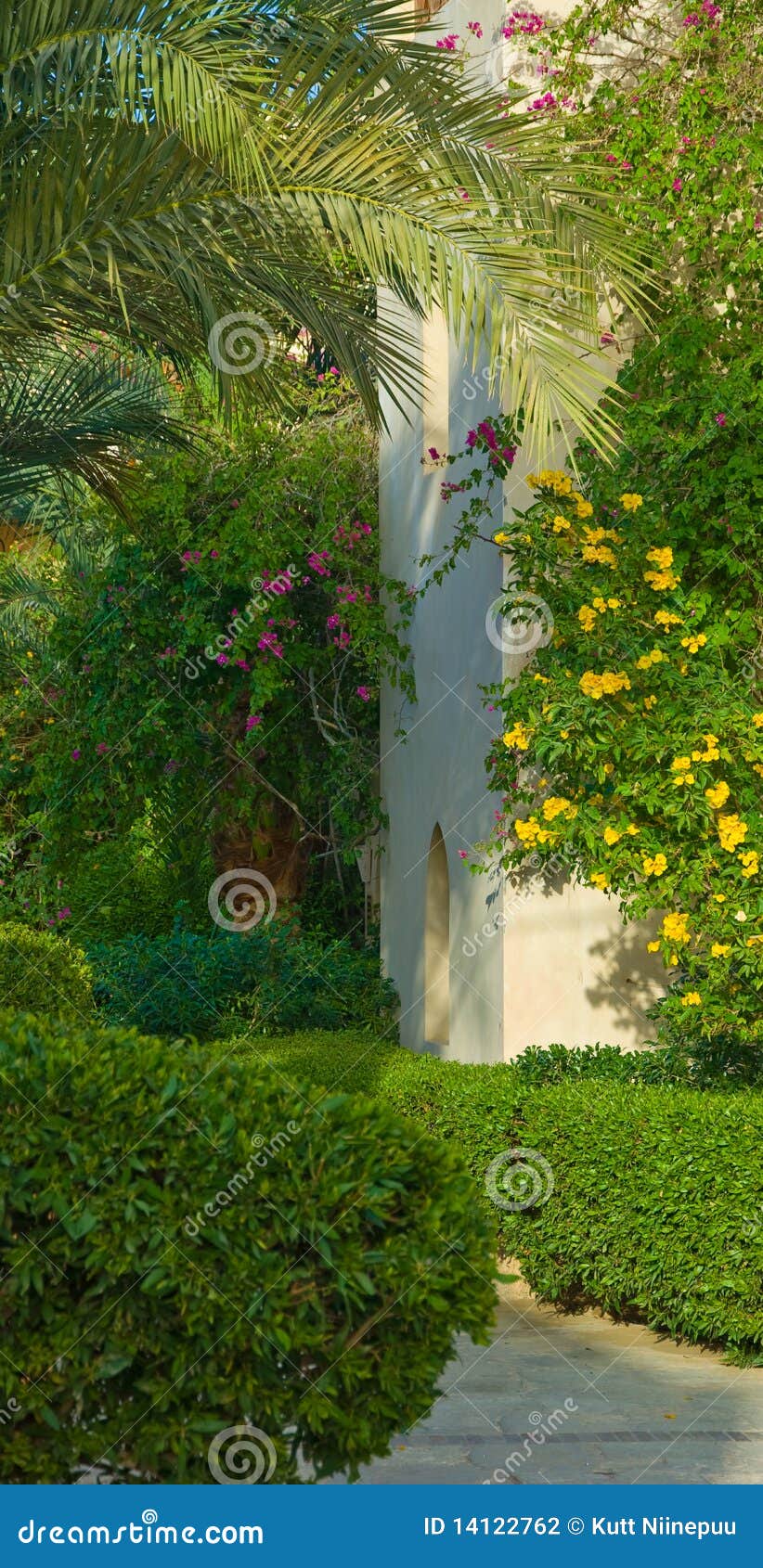 Covered with vegetation stock photo. Image of tropical - 14122762