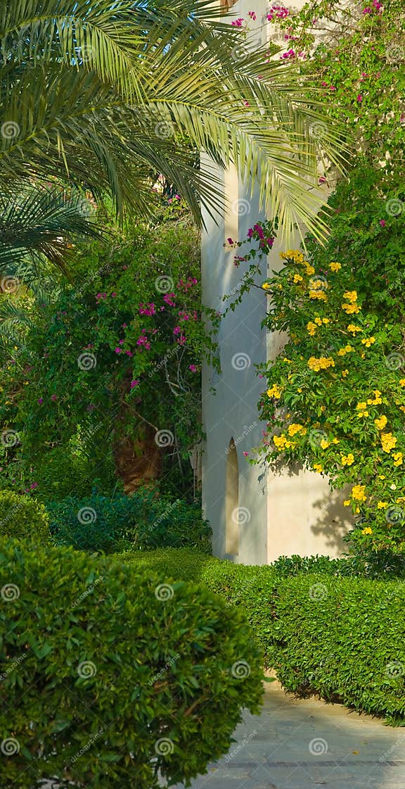 Covered with vegetation stock photo. Image of tropical - 14122762