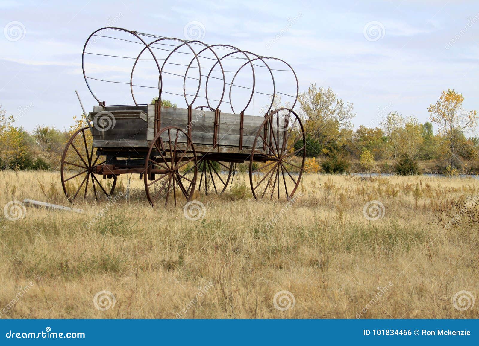 Covered Wagon stock photo. Image of familys, frame, hoops - 101834466