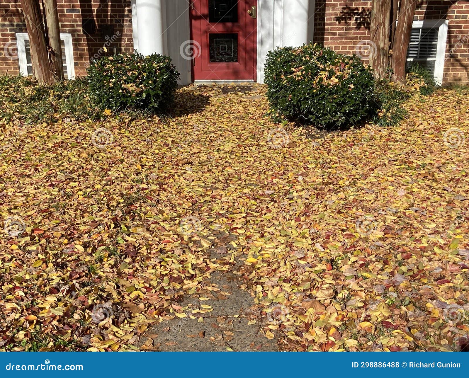 Covered Walkway in November with Fallen Leaves Stock Photo - Image of ...