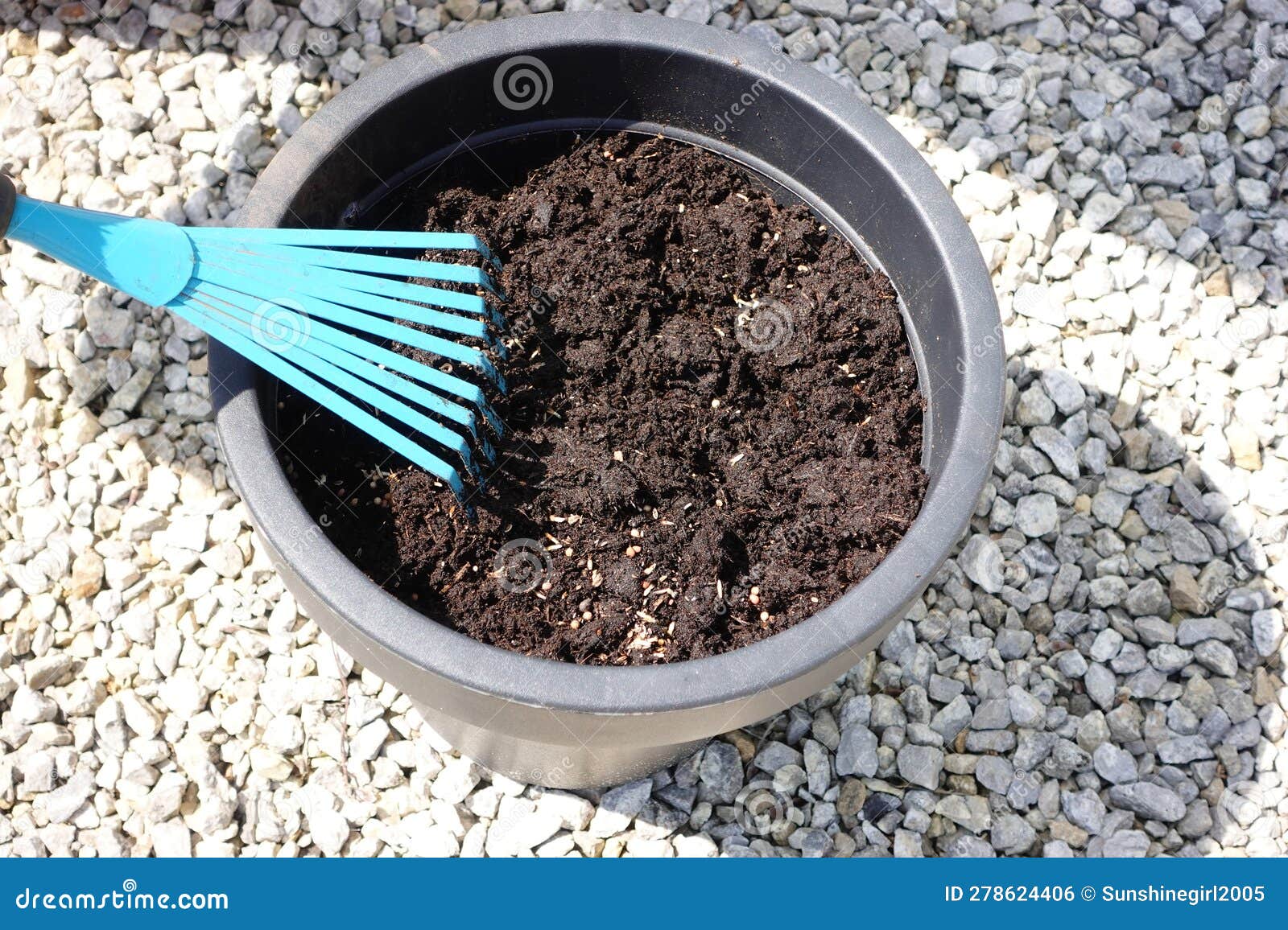 Covering the Soil Over the Seeds with the Rake Stock Photo - Image of ...