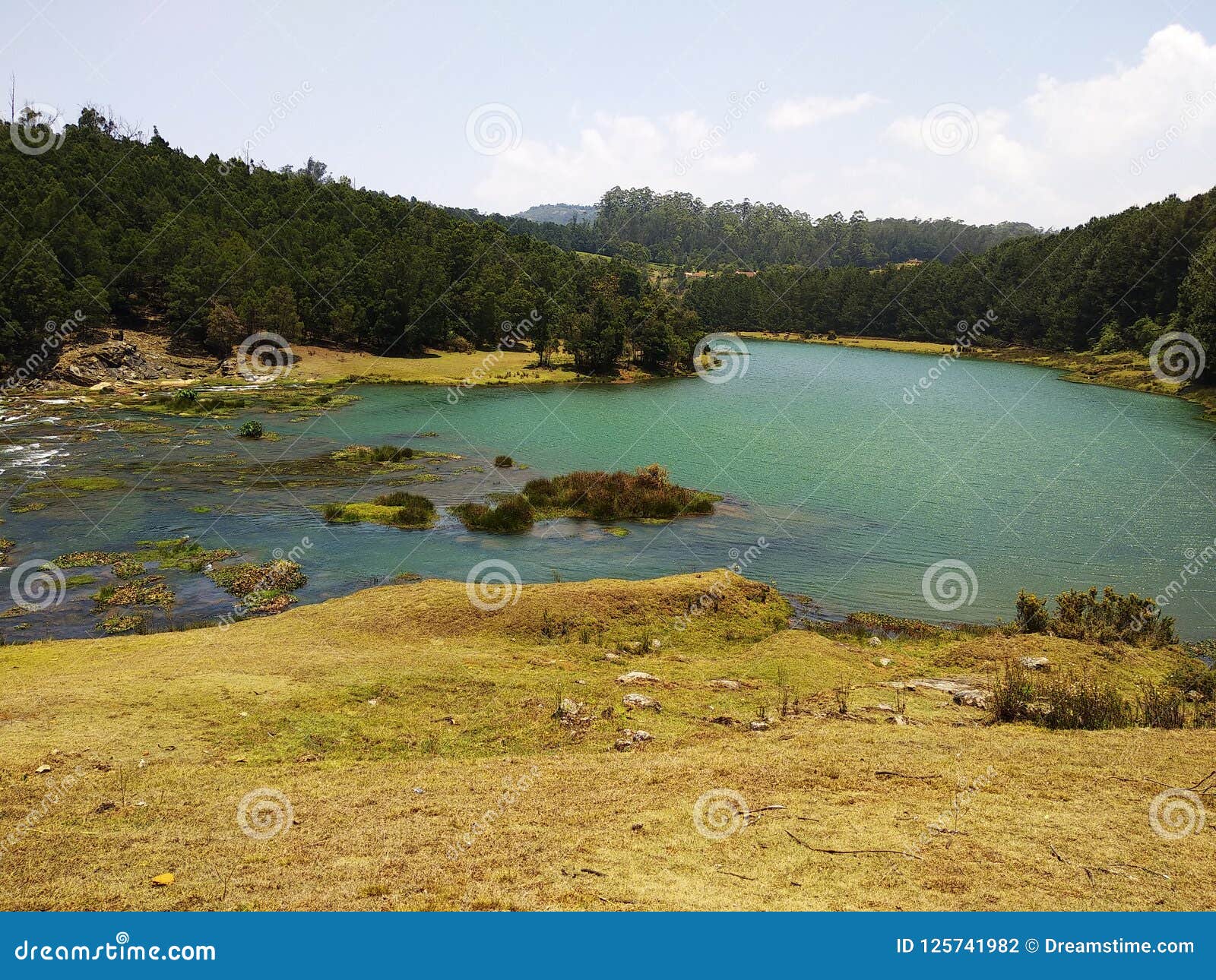 Big whole lake view shot stock photo. Image of lake - 125741982