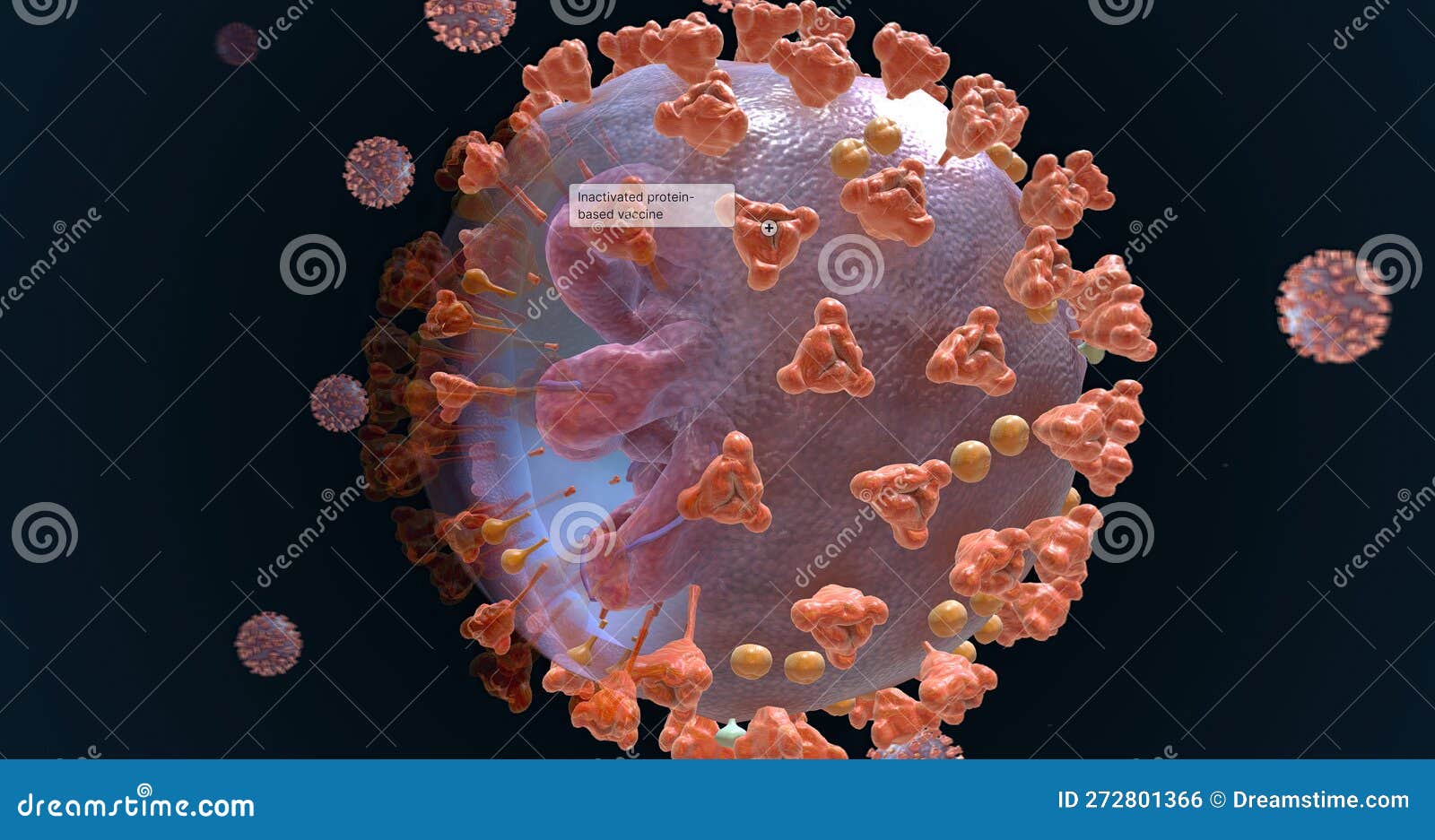 Inactivated Vaccines Infographic Vector Illustration | CartoonDealer ...
