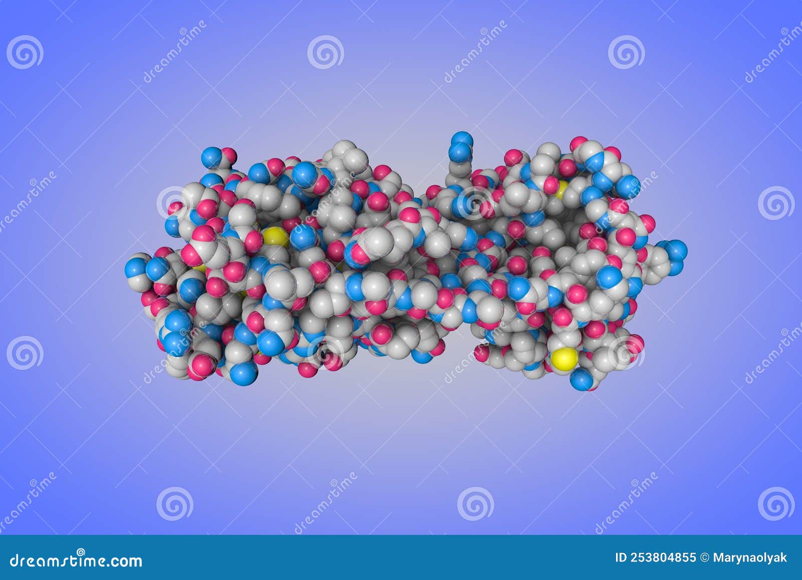 COVID-19 Main Protease in Complex with an Inhibitor N3. Space-filling ...