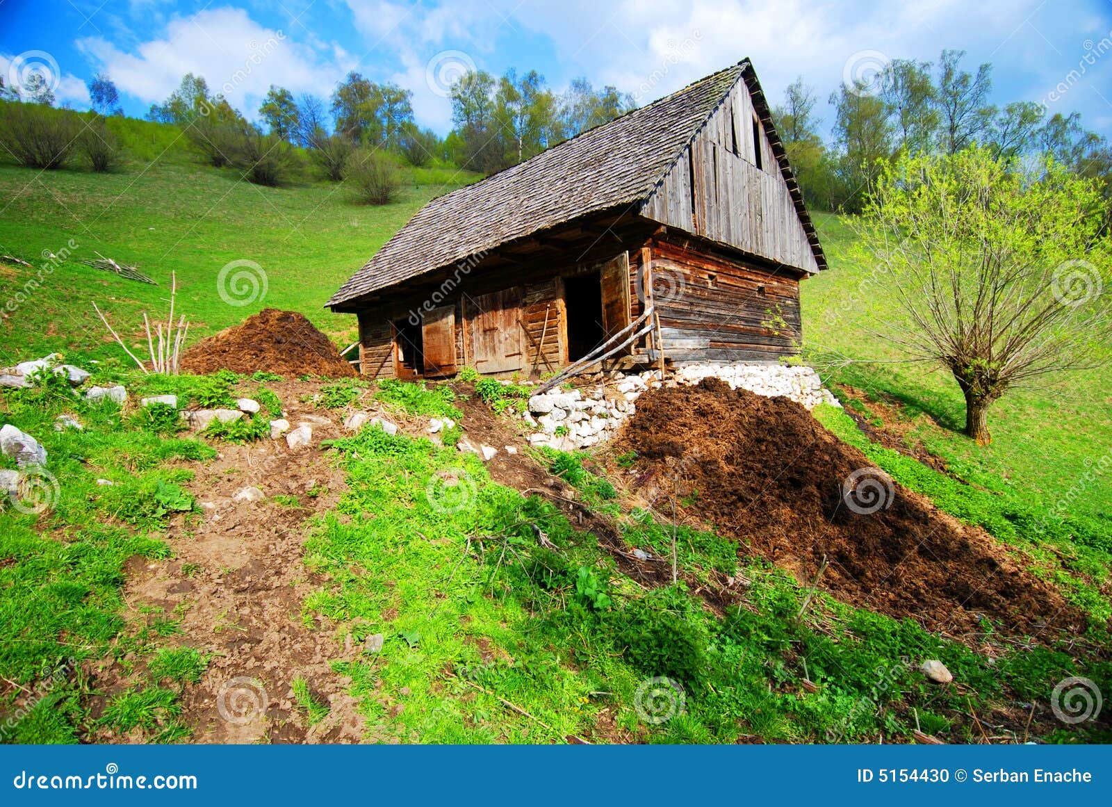 Cow barn in countryside stock photo. Image of countryside - 5154430