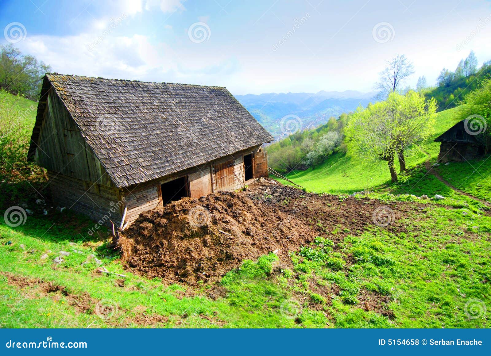 Cow barn in countryside stock photo. Image of nature, outdoor - 5154658
