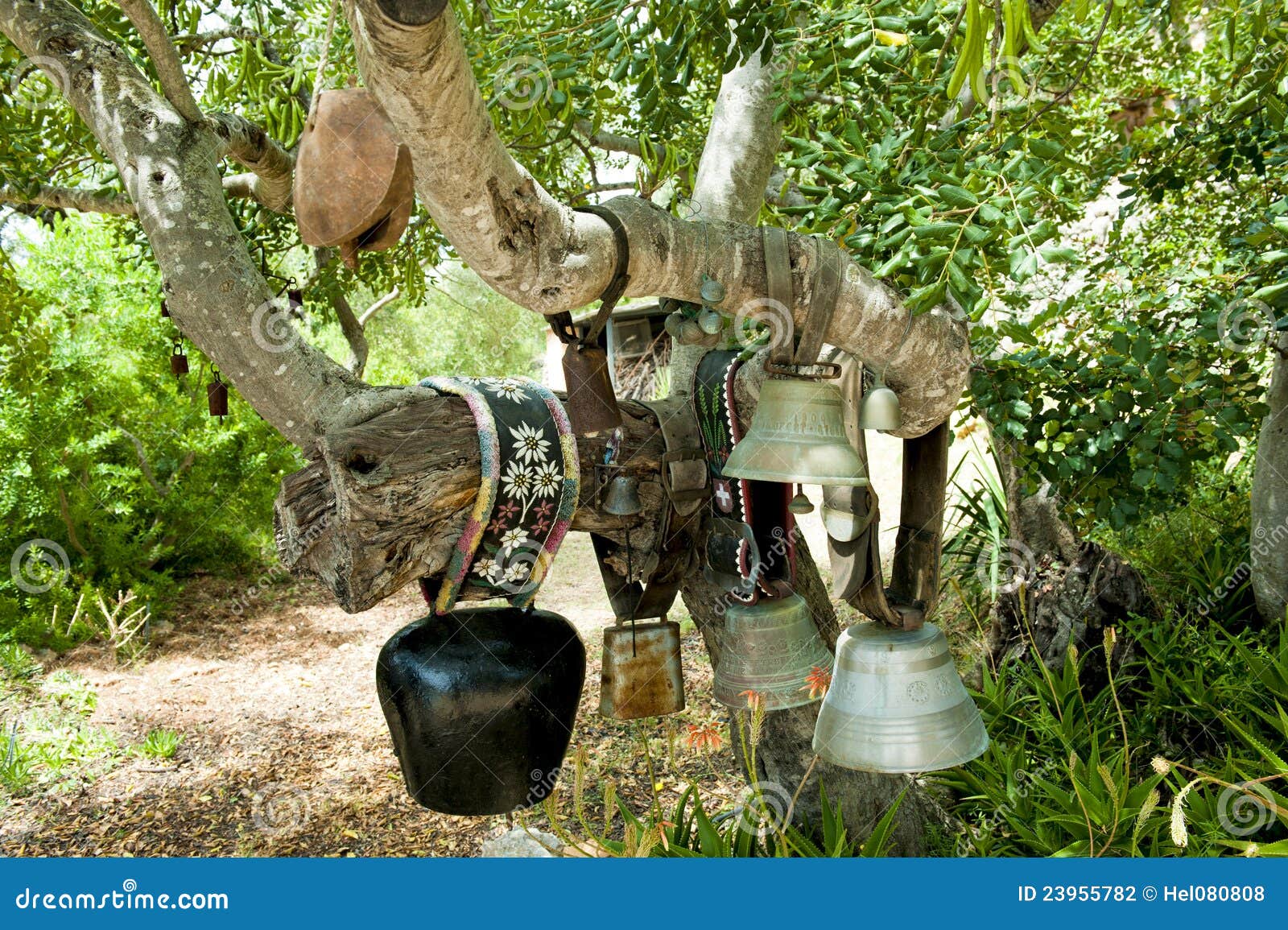 Cow Bells, Collection of Alpine Cow Bells Stock Photo - Image of ...
