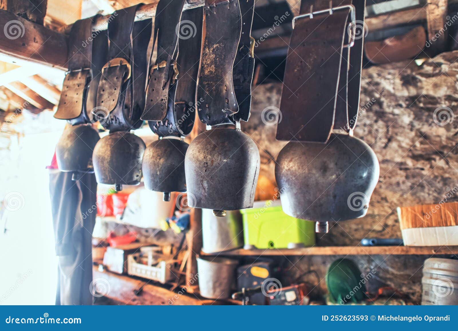 Cow Bells Yes Various Sizes Stock Image - Image of shepherd, farm ...
