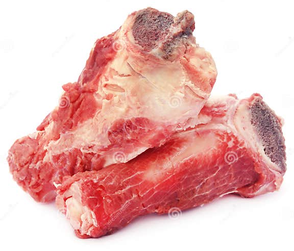 Cow bone stock image. Image of closeup, beef, white, studio - 78663027