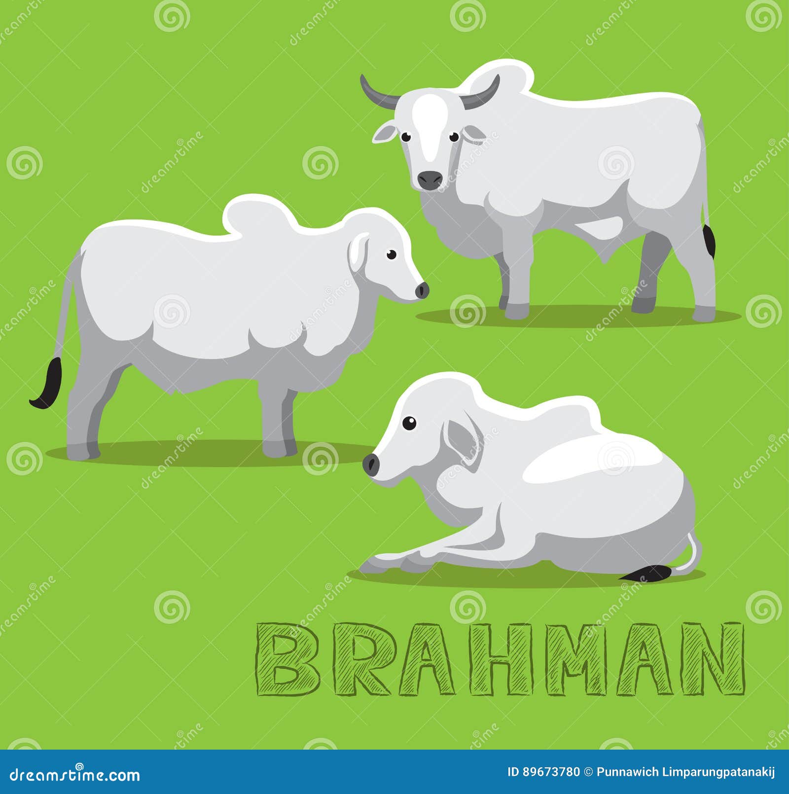 Cow Brahman Cartoon Vector Illustration Stock Vector - Illustration of ...