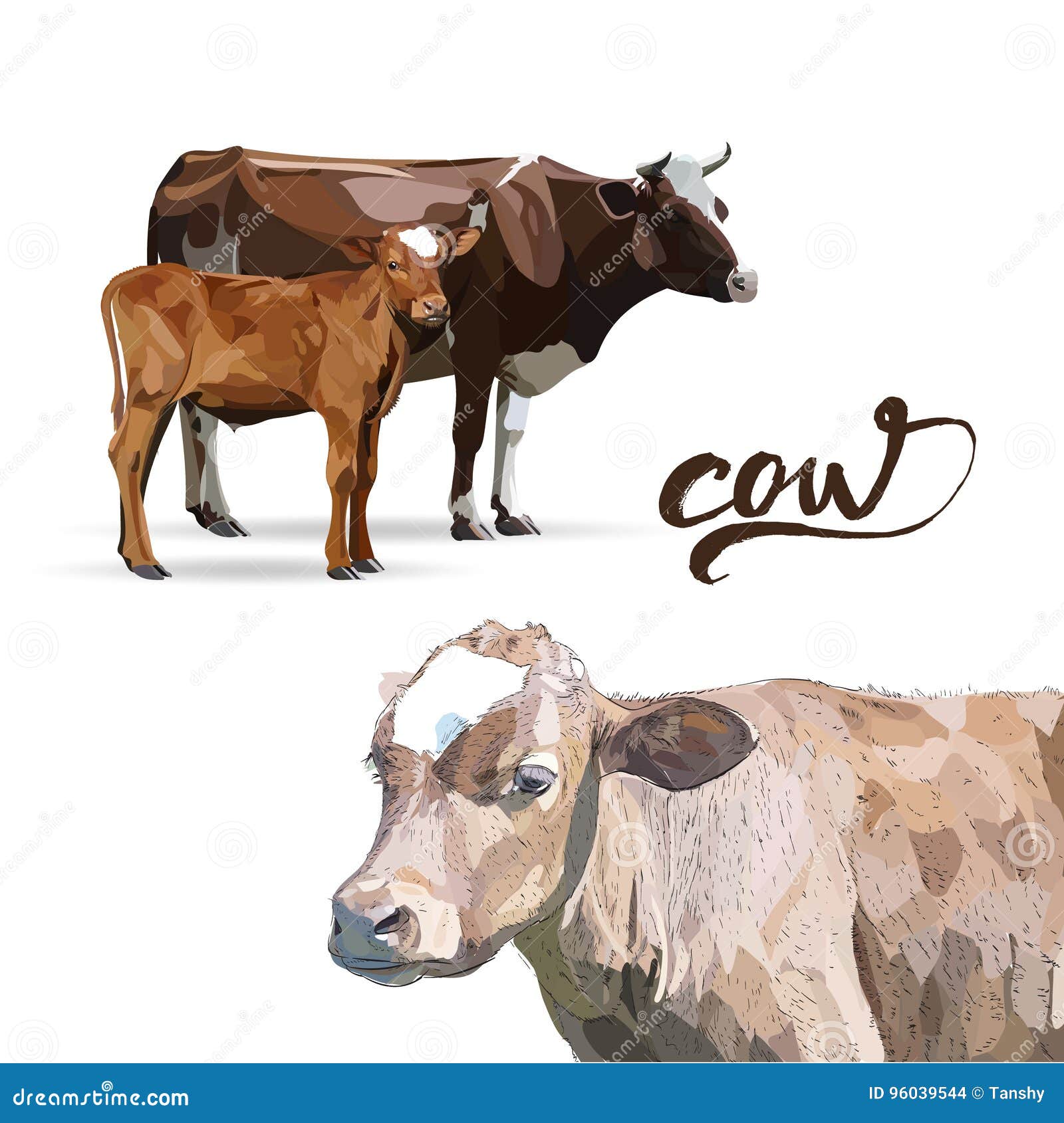 Cow. Calf brown, vector stock vector. Illustration of cute - 96039544