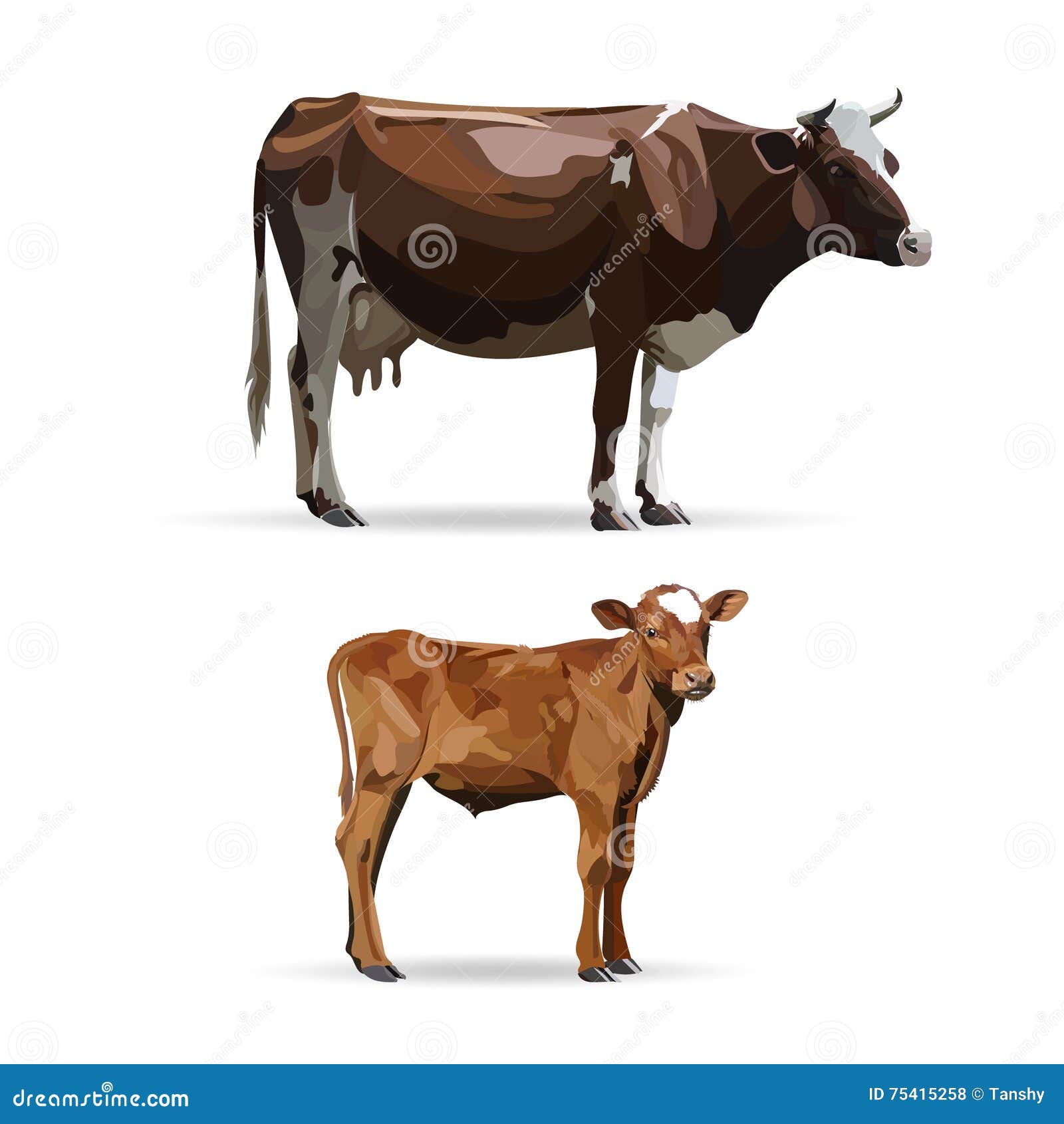 Cow Calf Brown, Vector Set Vector | CartoonDealer.com #138051762