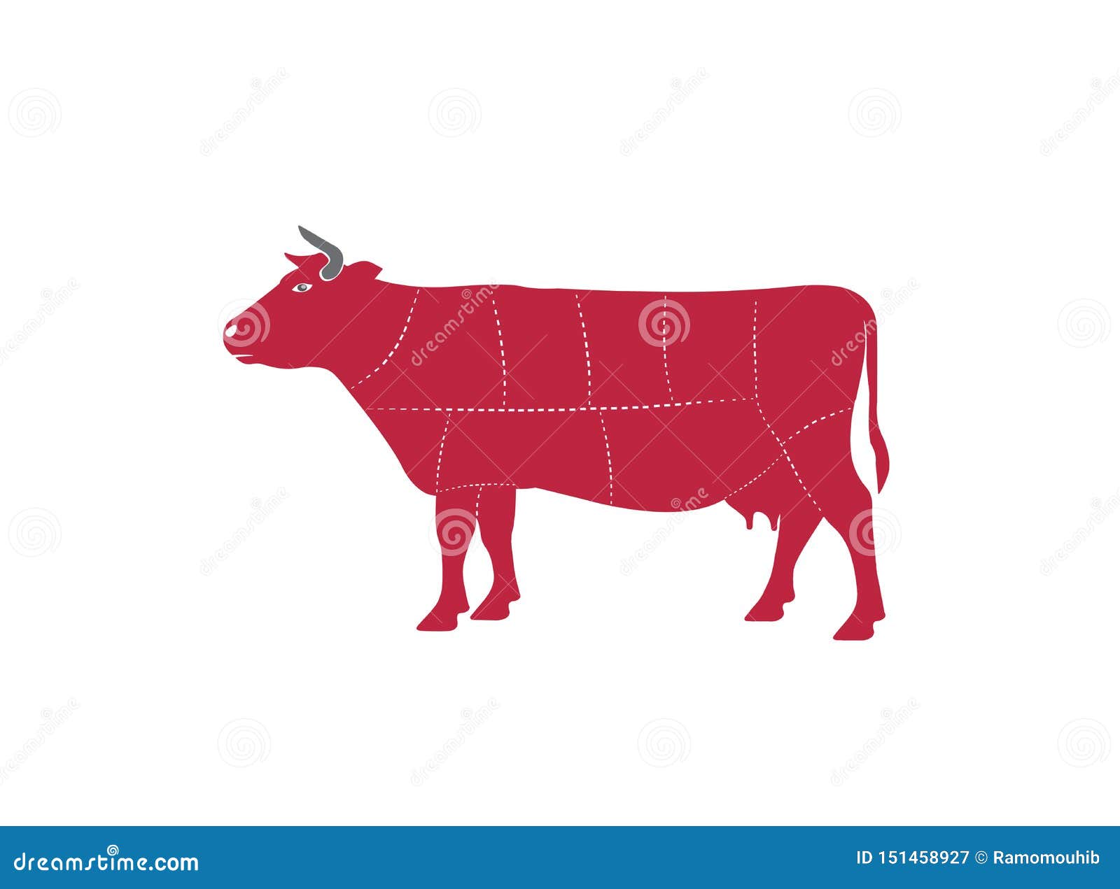 Cuts Of Beef Scheme With Cow. Meat Cuts Poster For Butcher Shop. Vector ...