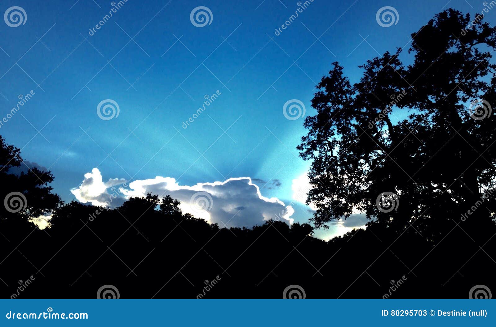 Cow cloud stock image. Image of like, looks, texas, blue - 80295703