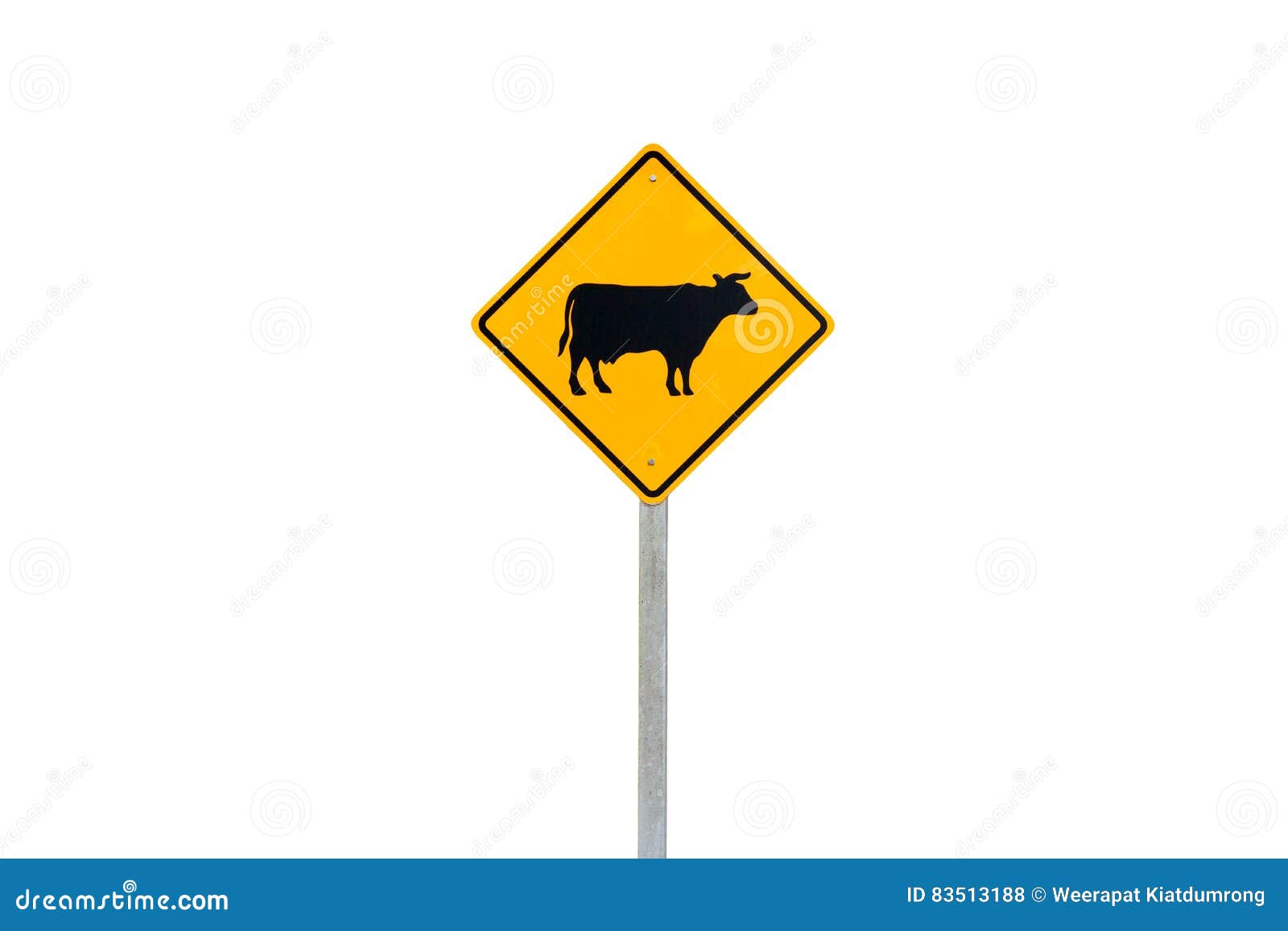 Cow crossing road sign stock photo. Image of buffalo - 83513188