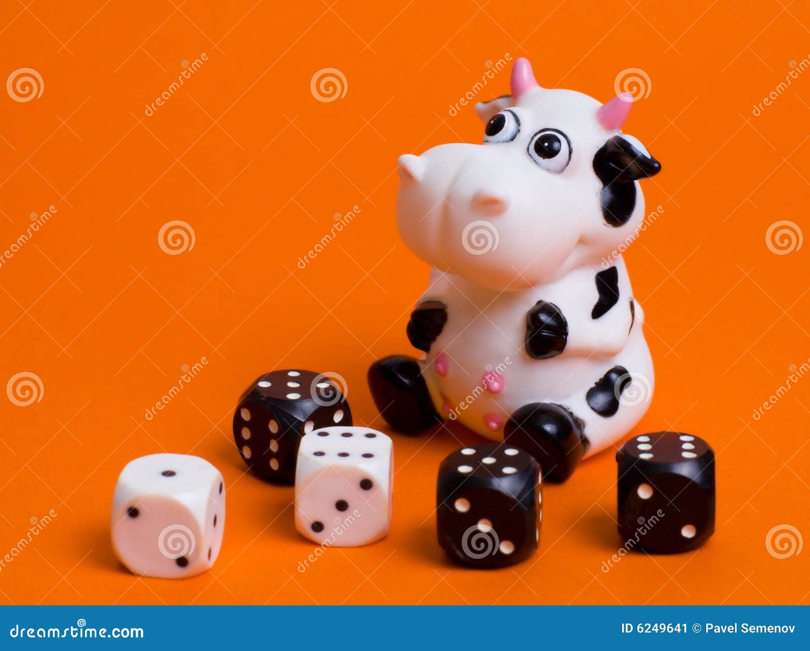 Cow and cubes stock image. Image of calf, color, decisions - 6249641