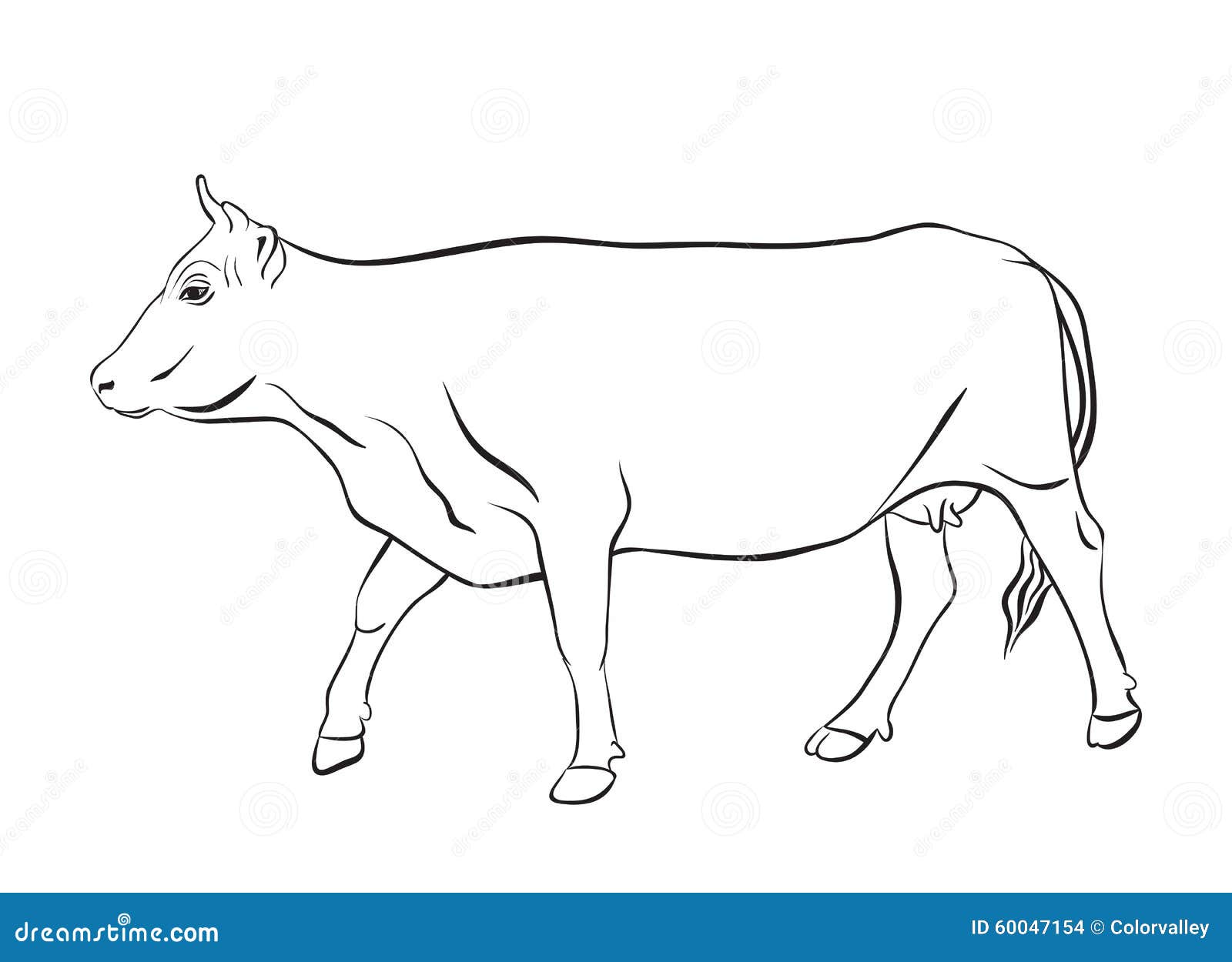 Cow Drawing with Floral Ornament Decoration Stock Vector - Illustration ...