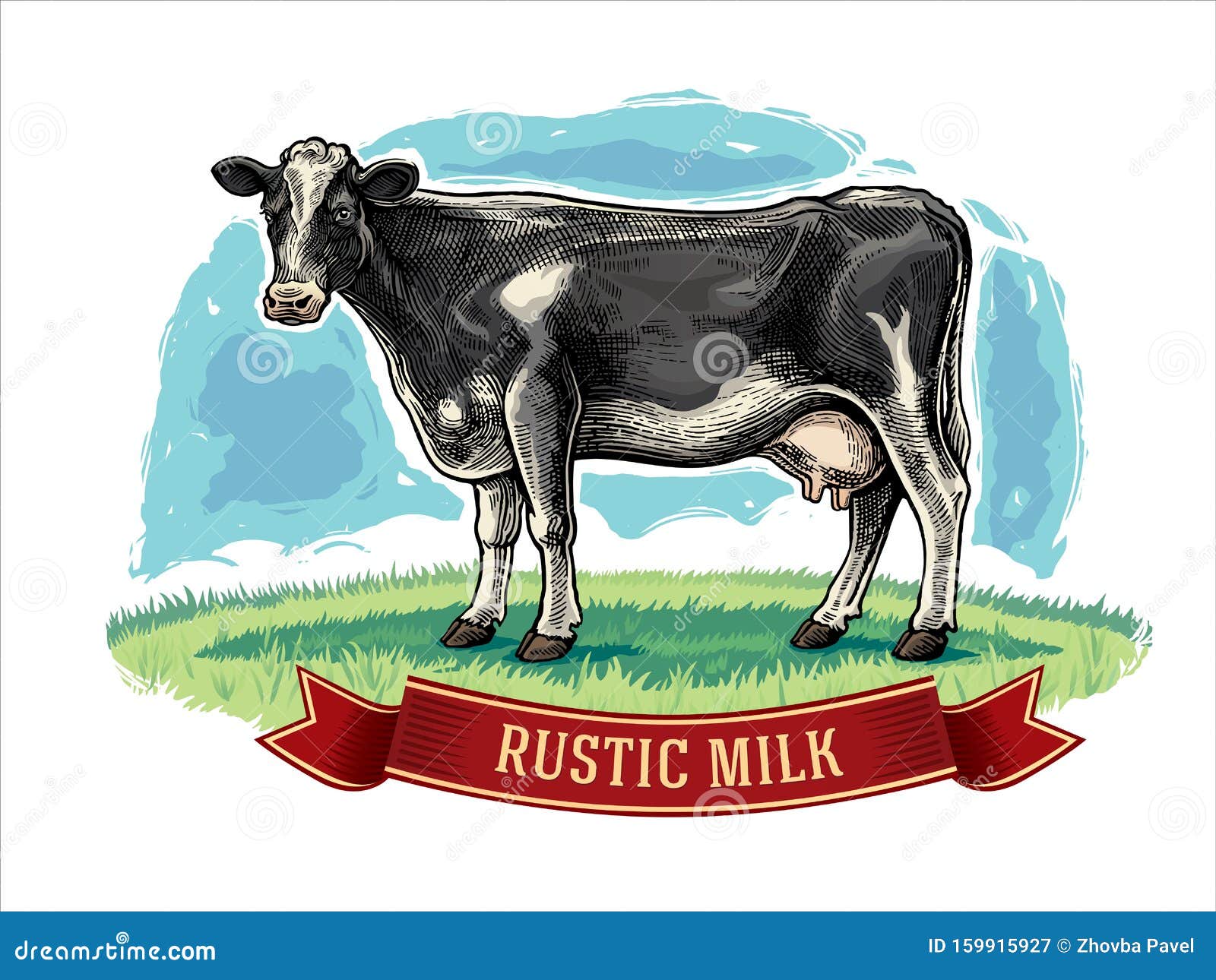 Cow Drawn in a Graphic Style Stock Vector - Illustration of farming ...