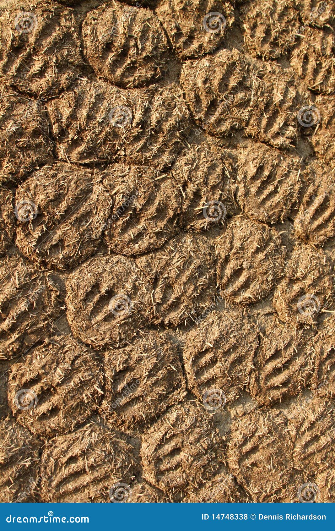 Cow dung stock photo. Image of handmade, dung, wallpaper - 14748338
