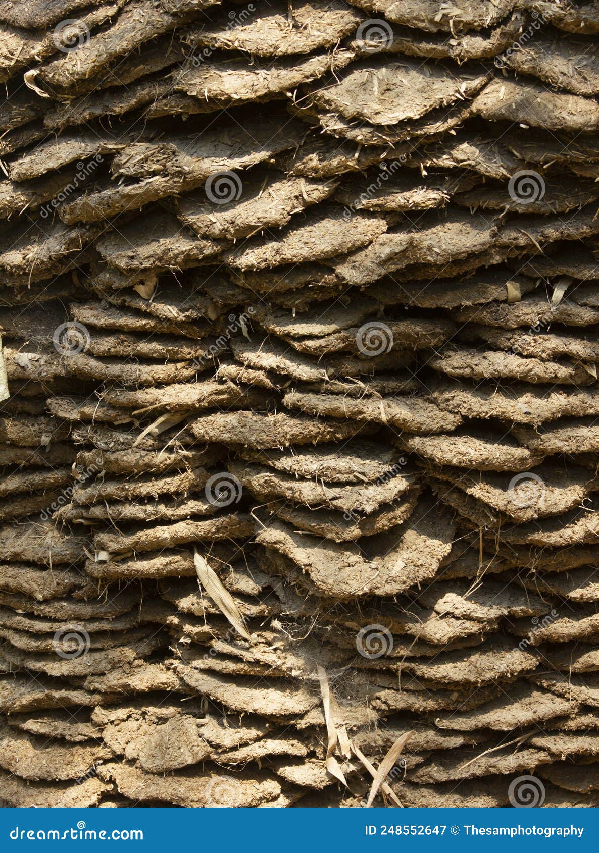 Cow Dung Cakes, Gobar Upla For Indian Rituals Die Royalty-Free Stock ...