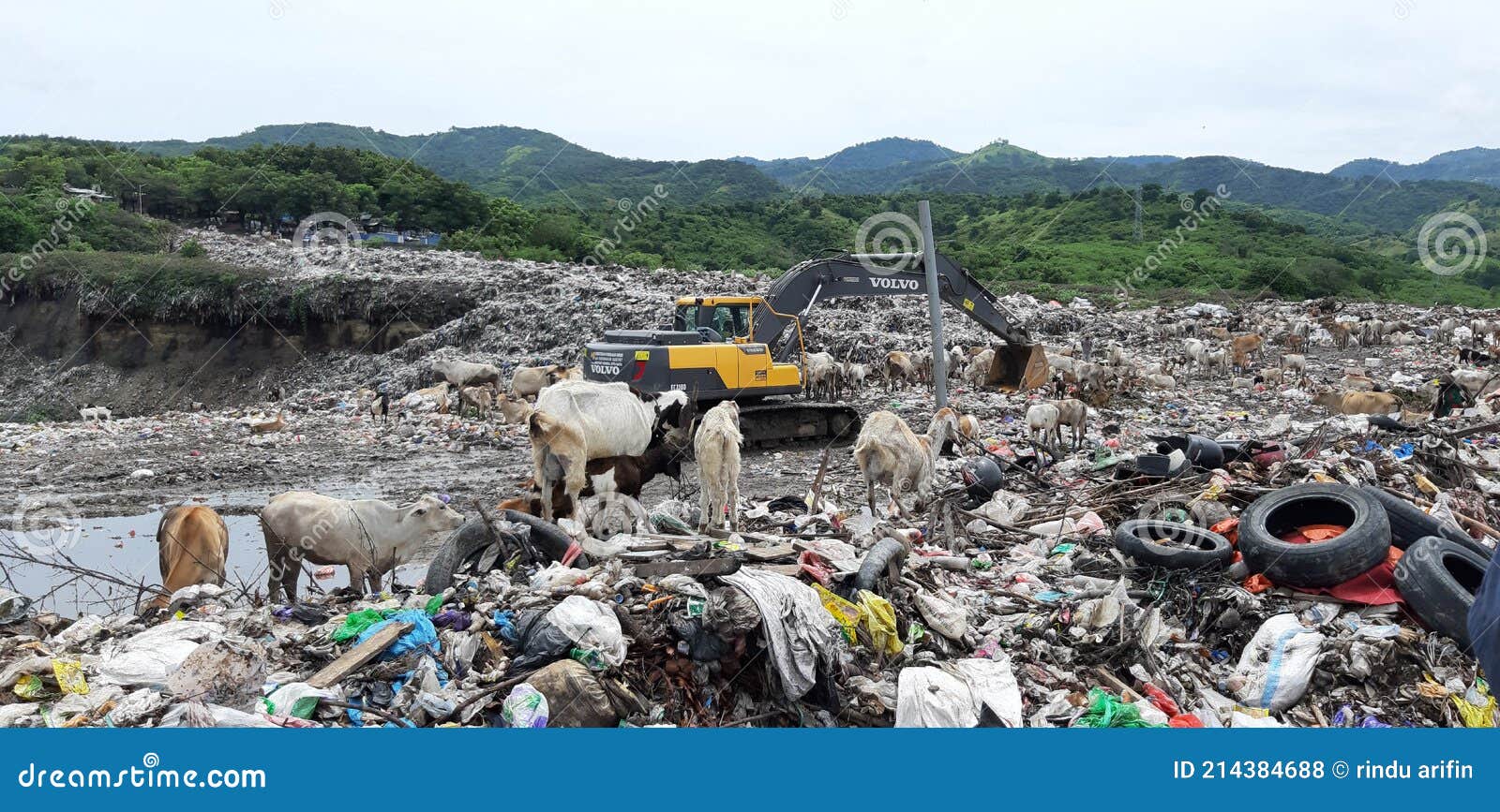 Waste plastick pollution stock photo. Image of adventure - 214384688