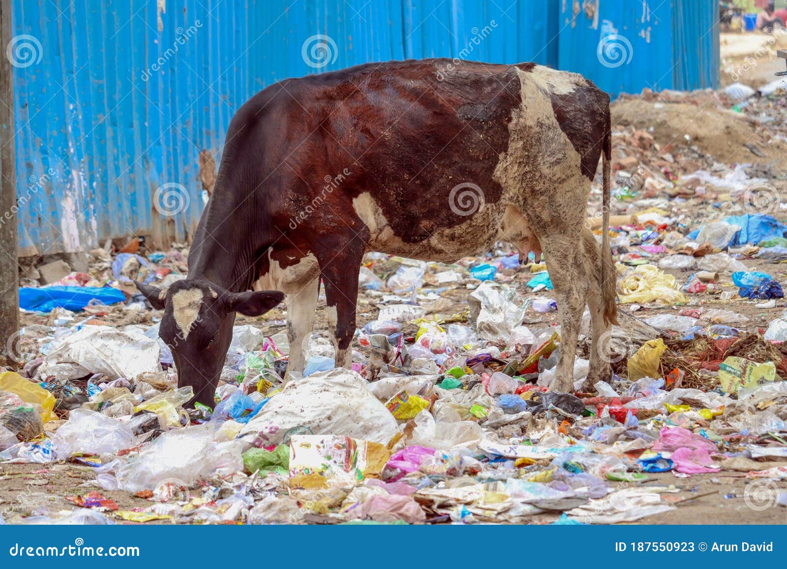 Trash.Plastic Waste. Garbage Pile In Trash Dump Or Landfill. Pollution ...