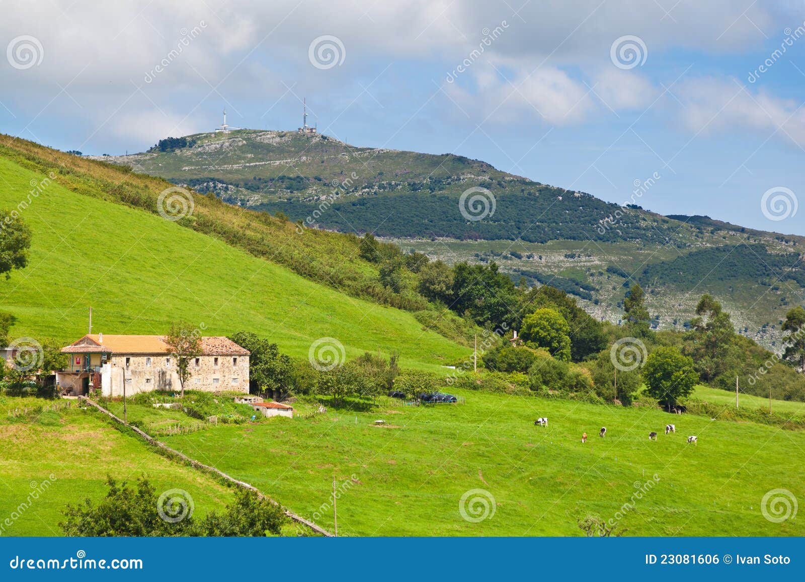 Cow Farm in Cantabria, Spain Stock Photo - Image of mountain, meadow ...