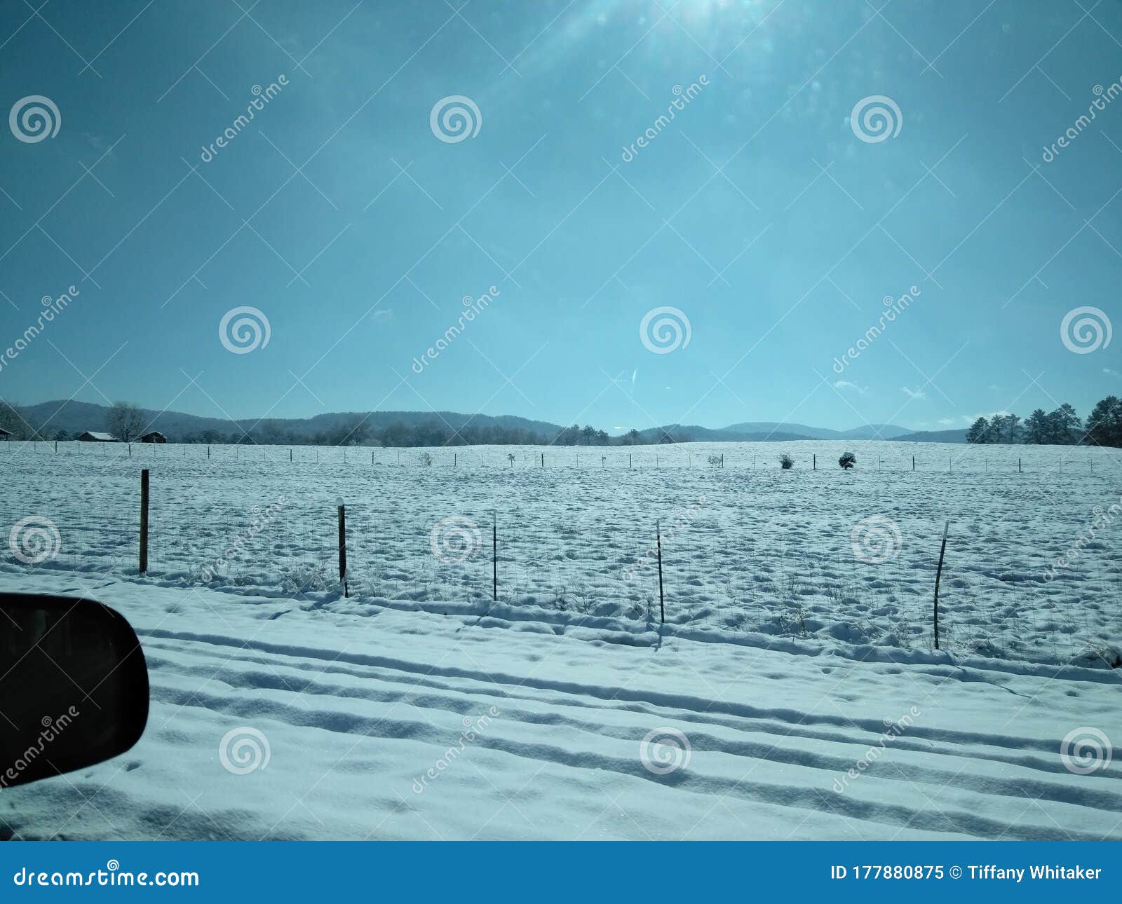 Cow field full of snow stock image. Image of full, snow - 177880875