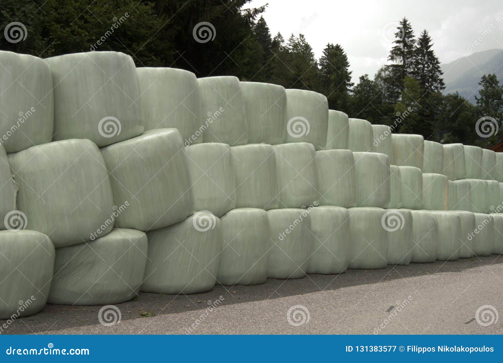 Haystack Big Bales Packaging in Plastic Stock Image - Image of food ...
